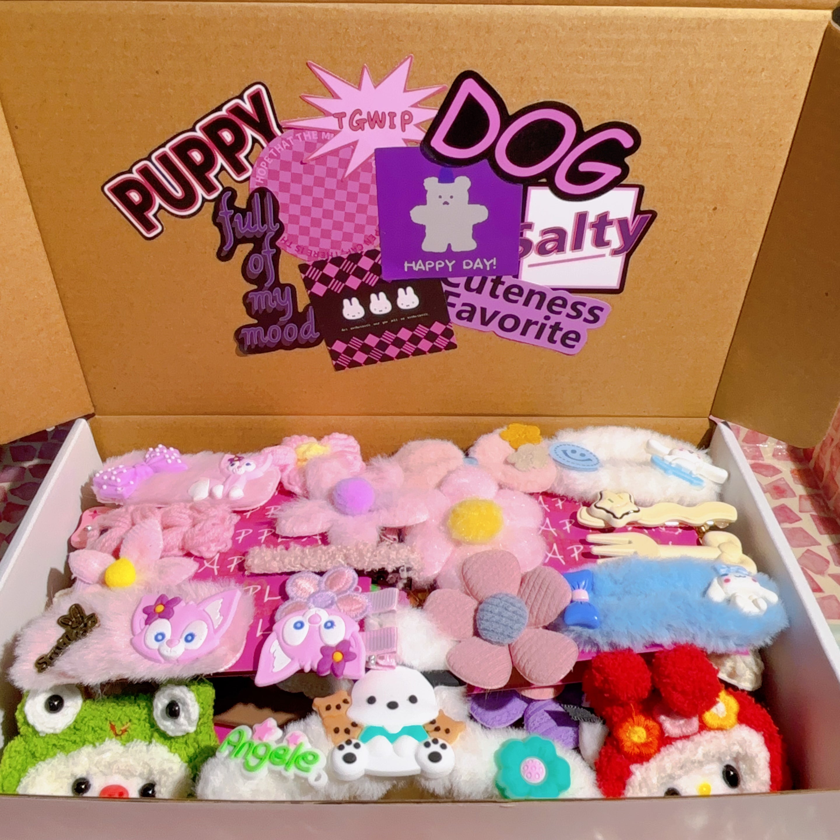 [Treasure Box]- Cutie Hair Clips Box – PINAPPLAND
